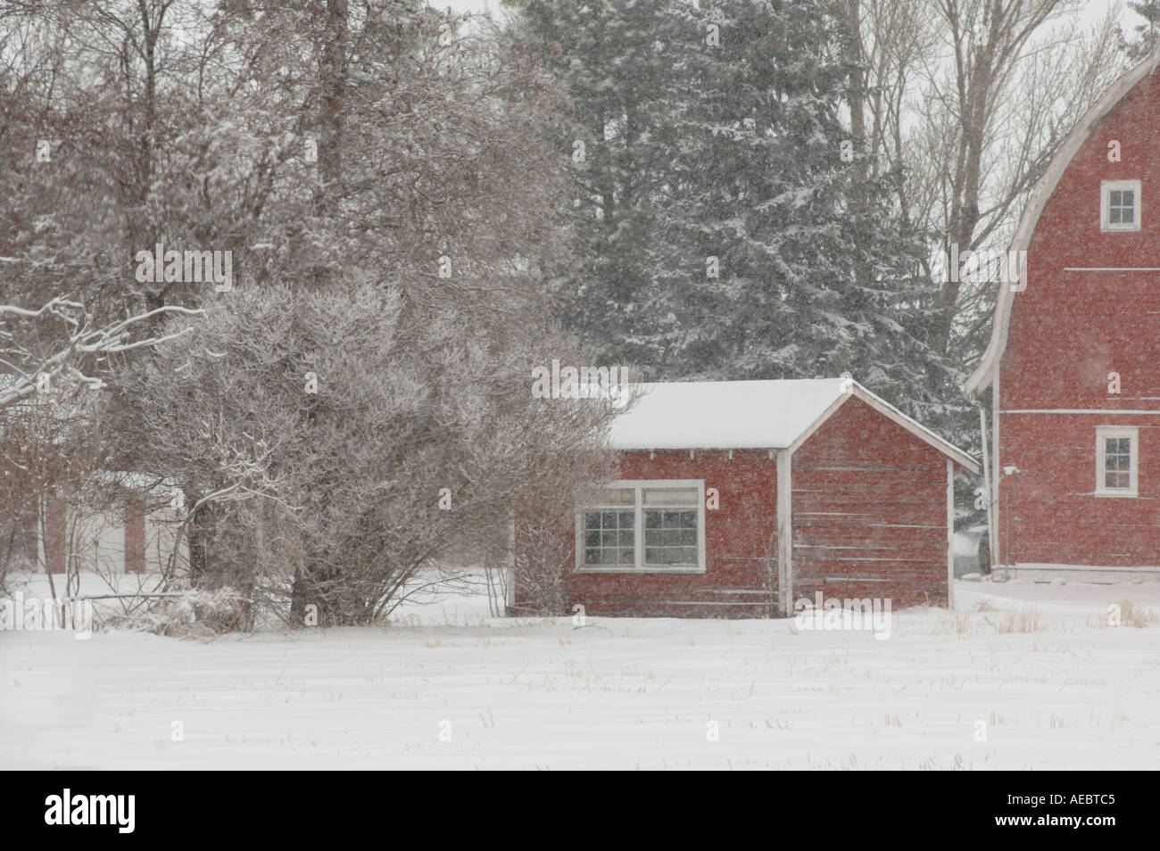 Alberta farmyard hi-res stock photography and images - Alamy