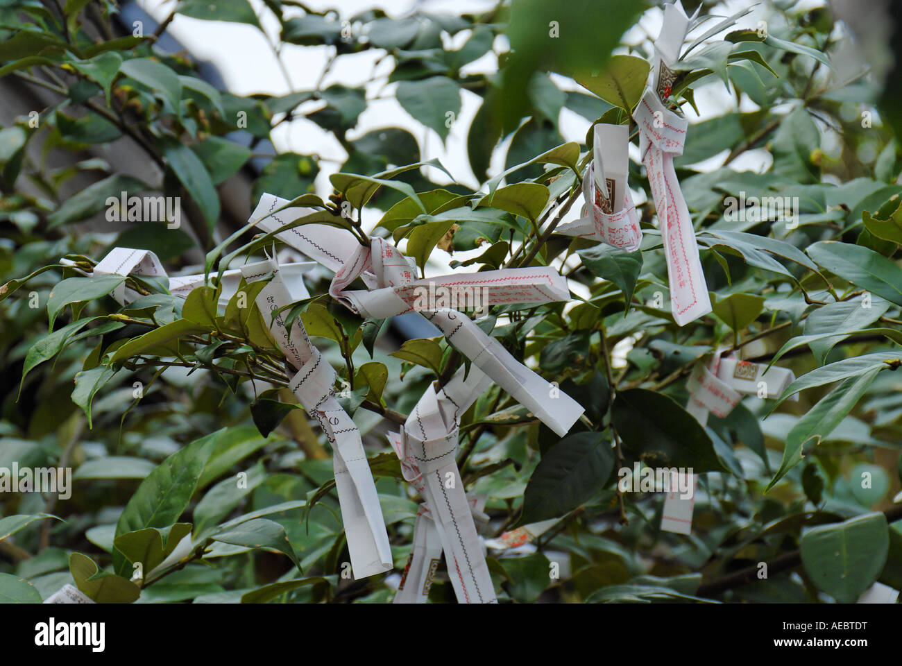 Prayers tied to string outside an Asian shrine Stock Photo - Alamy