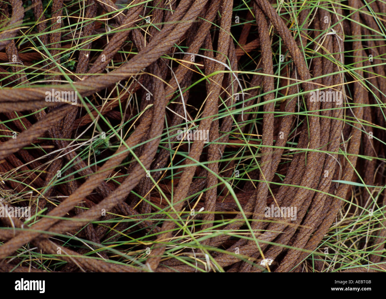 Strong wire hi-res stock photography and images - Alamy