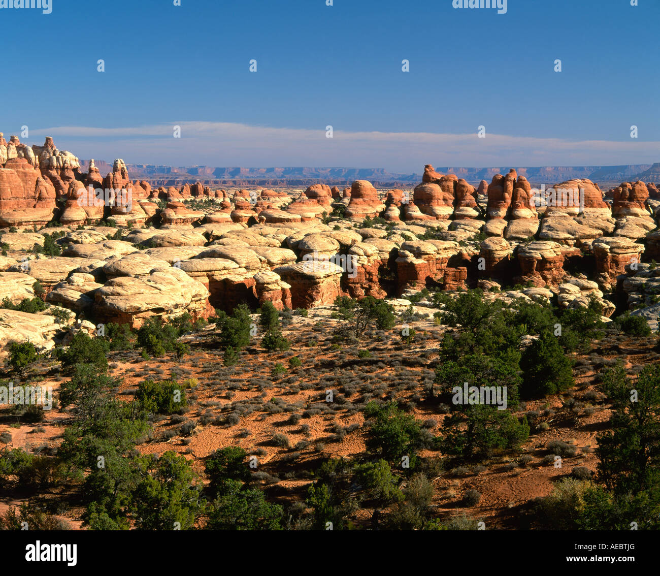 USA Utah Canyonlands National Park the Needles District Stock Photo - Alamy