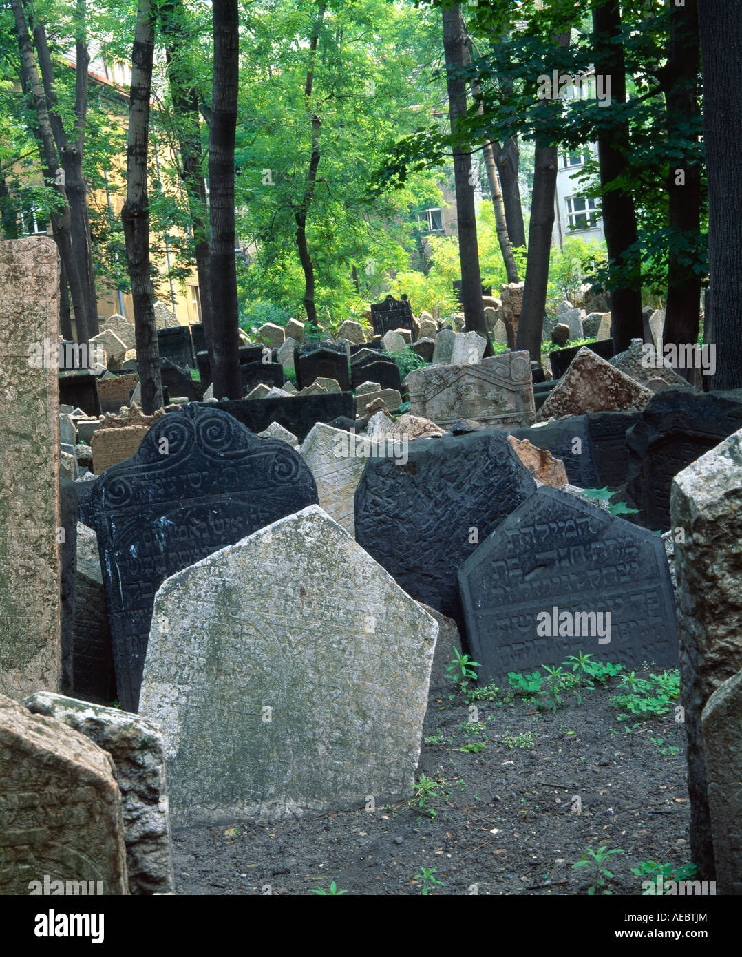 Prague jewish cemetary hi-res stock photography and images - Alamy