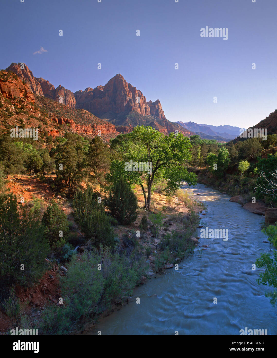Cliffs and vegetation along Virgin River in Zion National Park in Utah ...