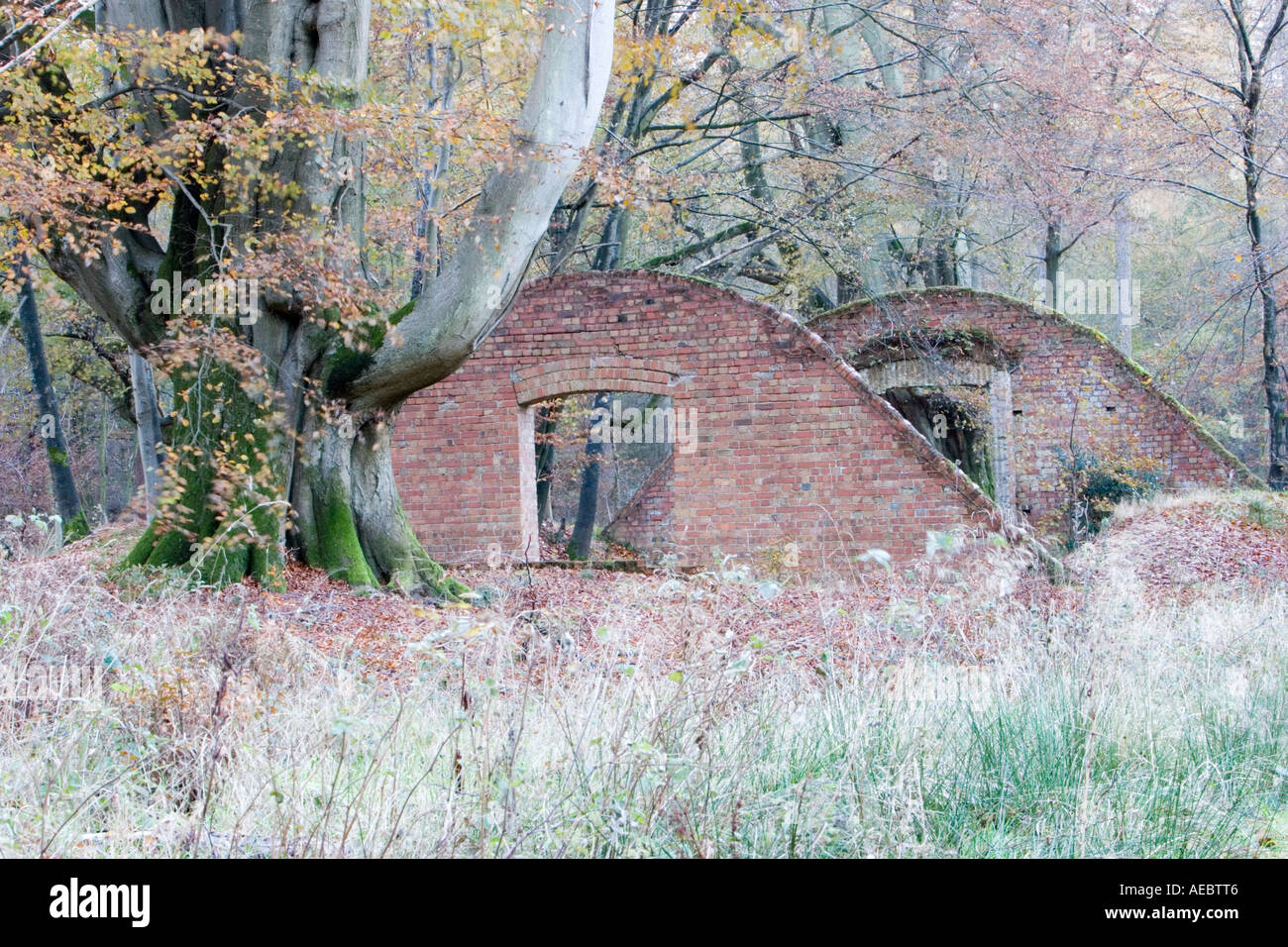 Tumbledown buildings in woodland hi-res stock photography and images ...