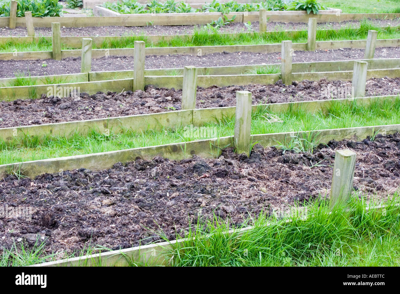 Allotment ground prepared for new planting Stock Photo - Alamy
