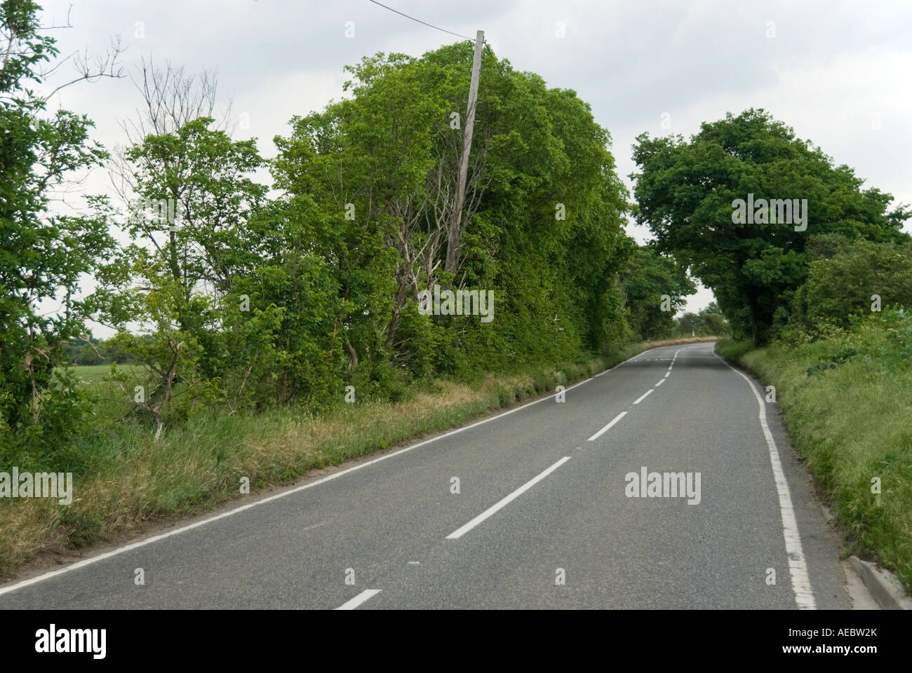 An empty country road in Essex Stock Photo - Alamy
