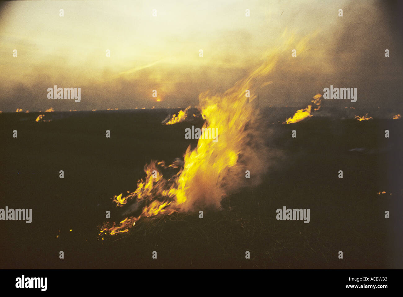 A burning dangerous fire Stock Photo - Alamy