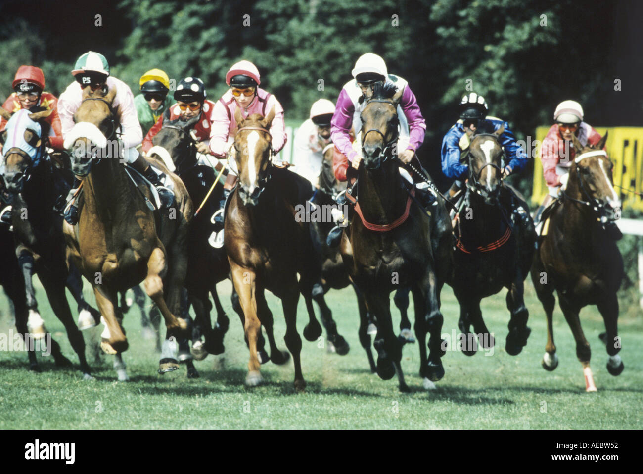 Dangerous horse hi-res stock photography and images - Alamy