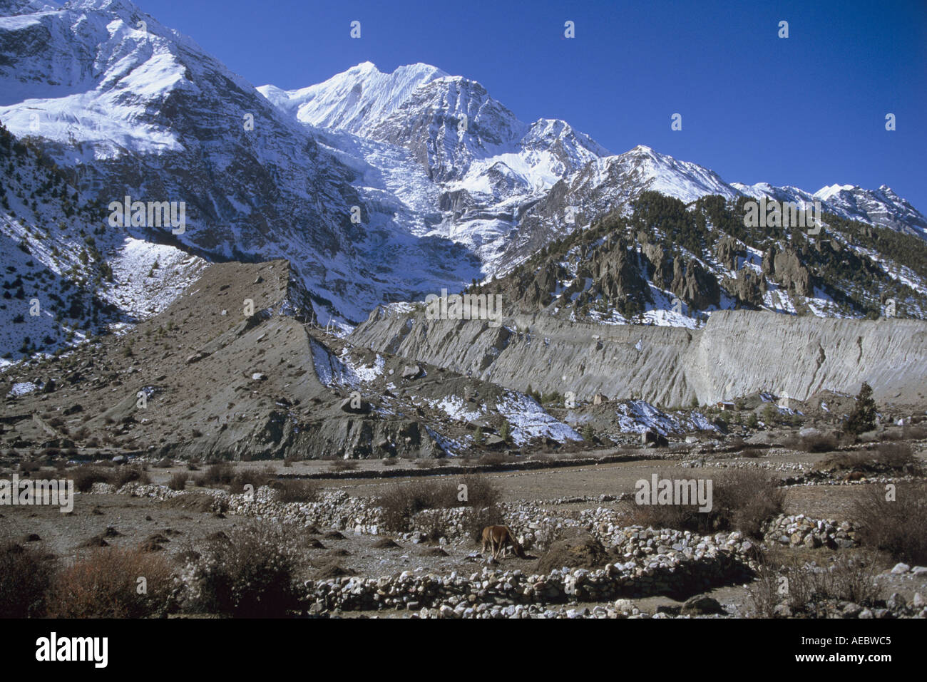 Manag mountain peak Nepal Stock Photo - Alamy
