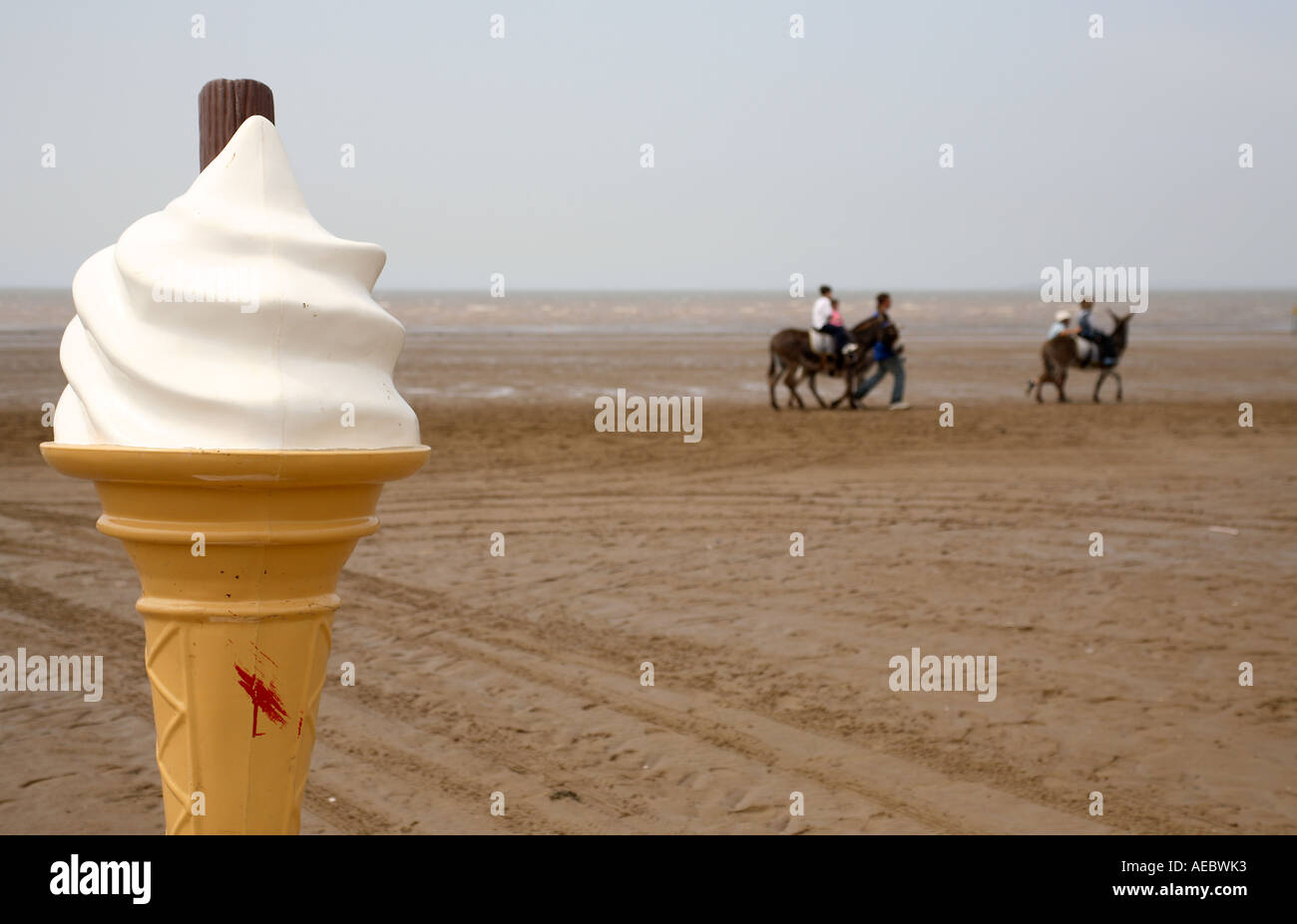 Donkey ice hi-res stock photography and images - Alamy