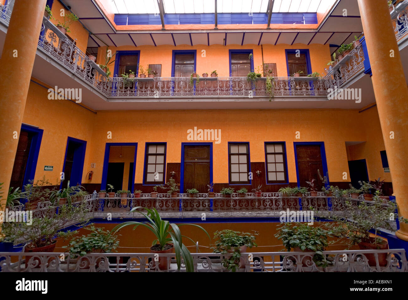 Isabel plante hi-res stock photography and images - Alamy