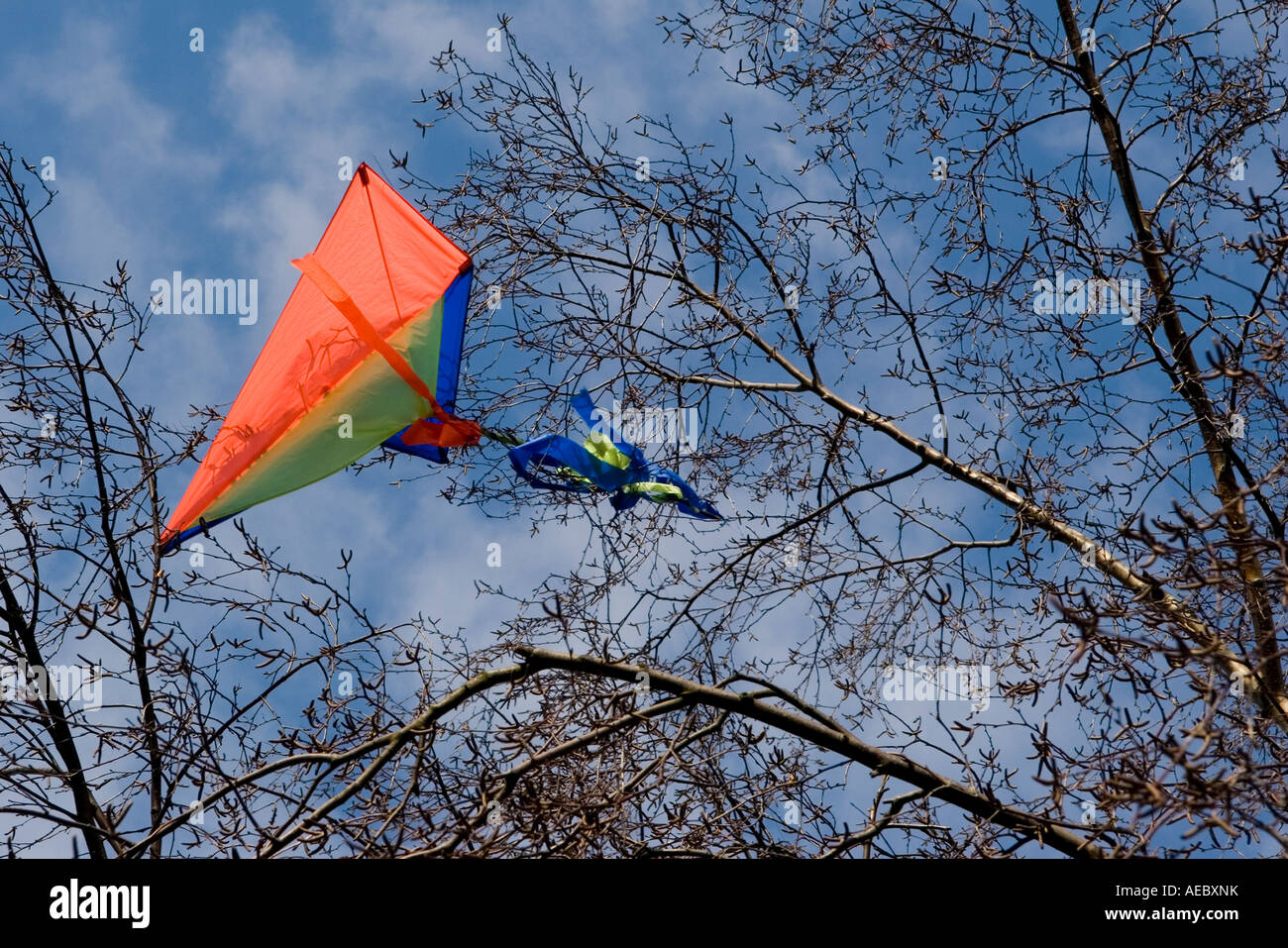 Kite stuck in tree hi-res stock photography and images - Alamy