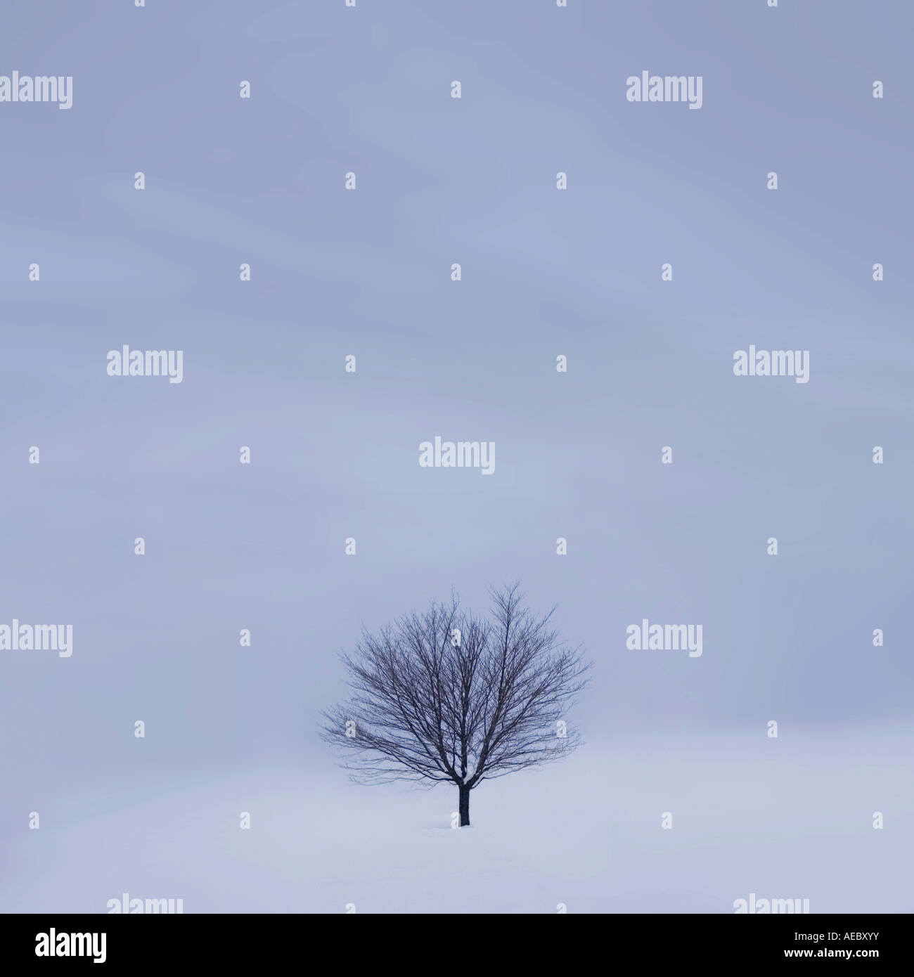 Fredericton Snow Storm High Resolution Stock Photography and Images - Alamy