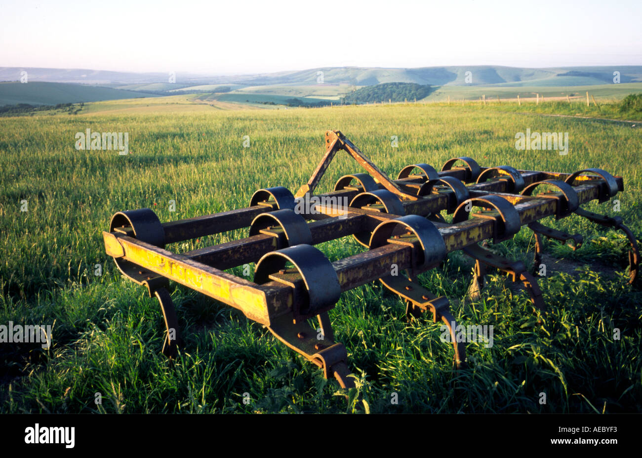 A raking implement lies unused in a field at first light on a summer s ...