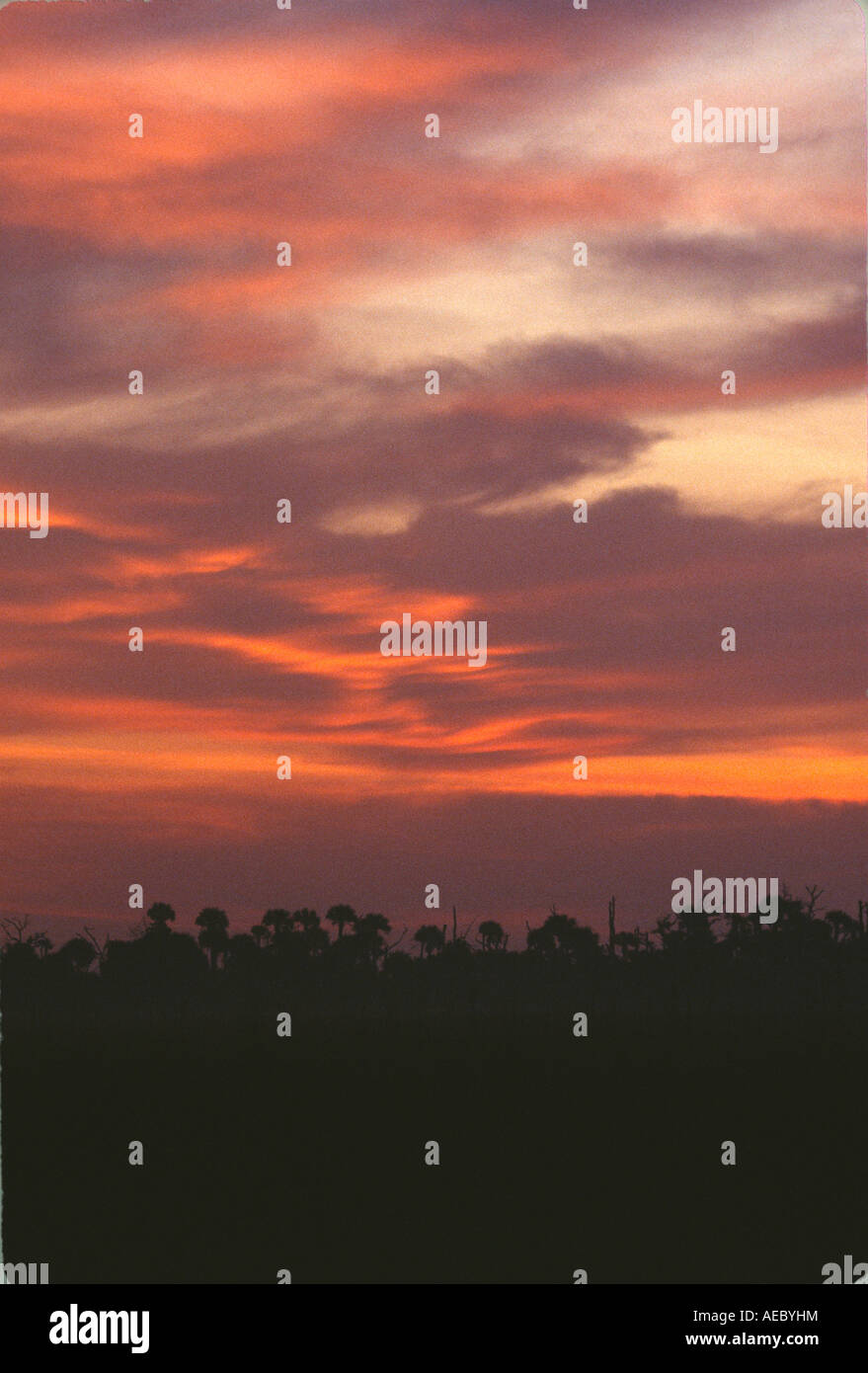 north island from north inlet SC Stock Photo - Alamy