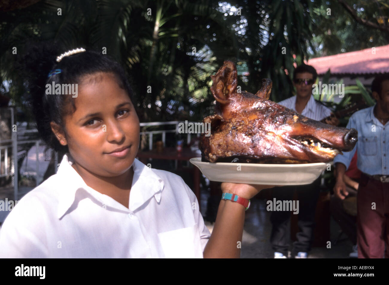 pig's head face faces beautiful beauty emotion emotions cute female ...