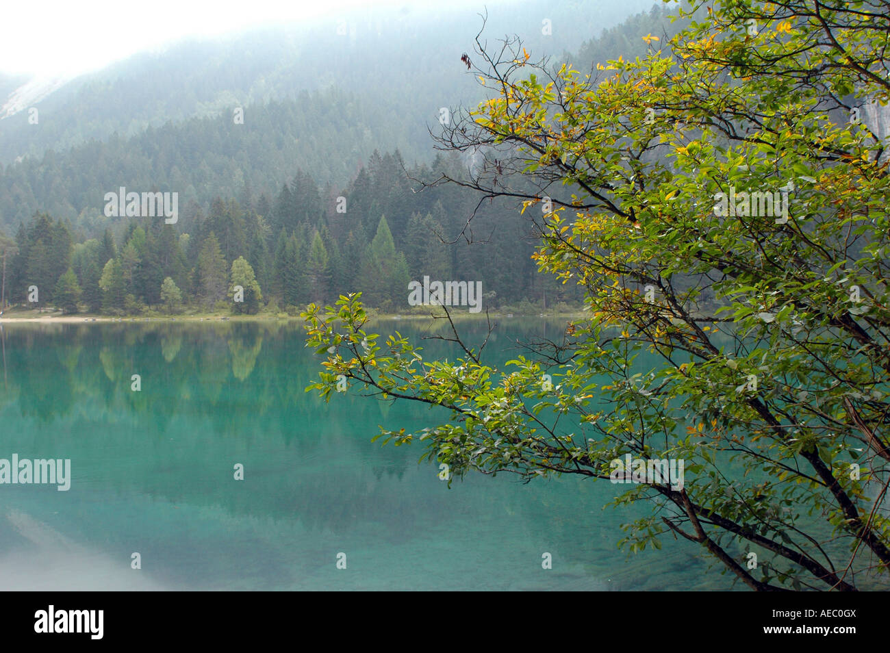 Lago di tovel hi-res stock photography and images - Alamy