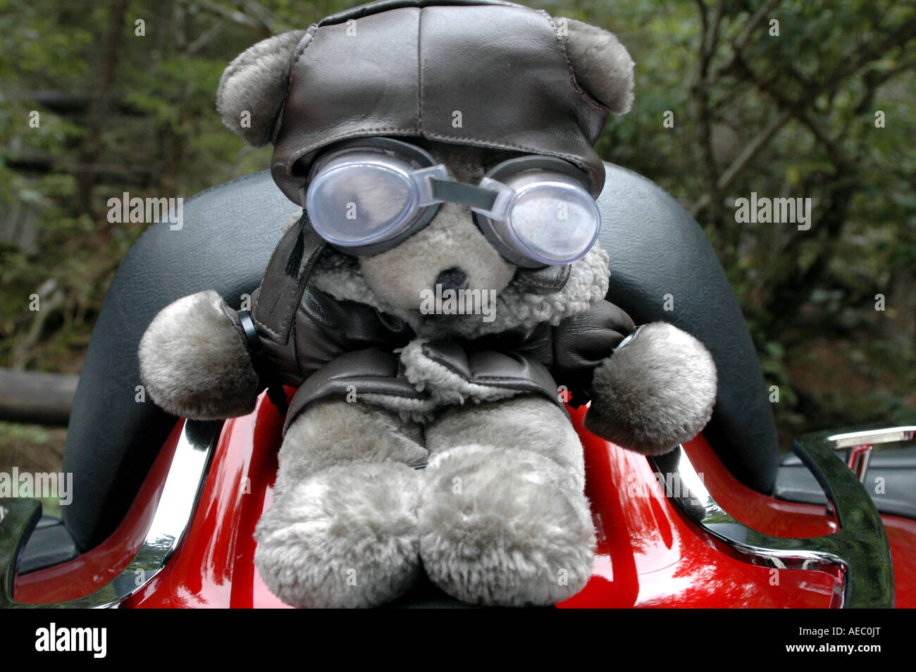 A motorcyclist teddy bear on the back of a motorcycle in Trentino ...