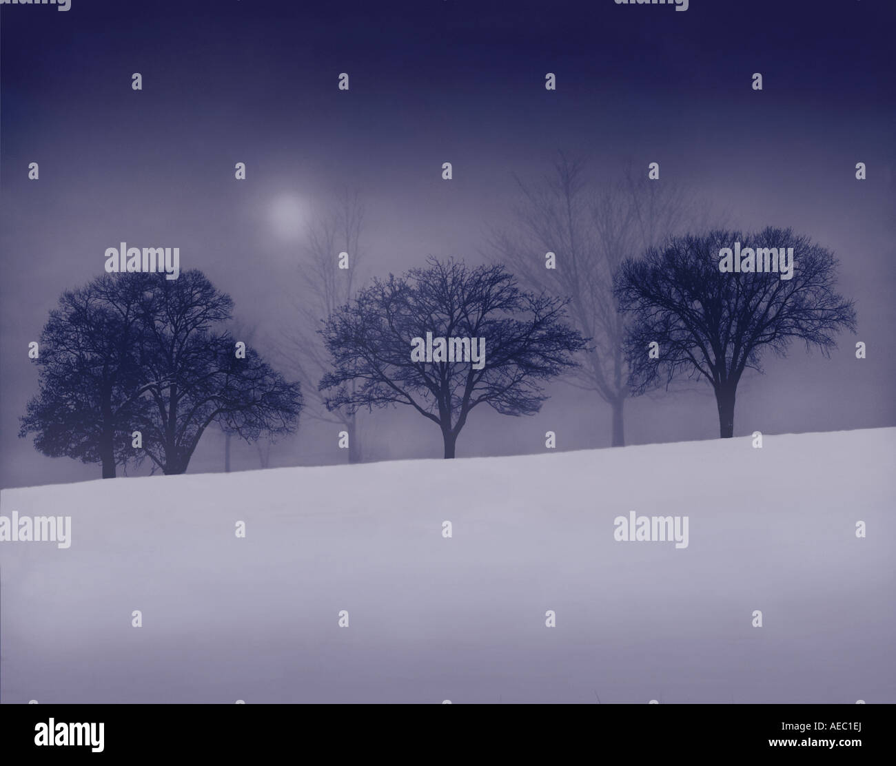 Fredericton snow storm hi-res stock photography and images - Alamy