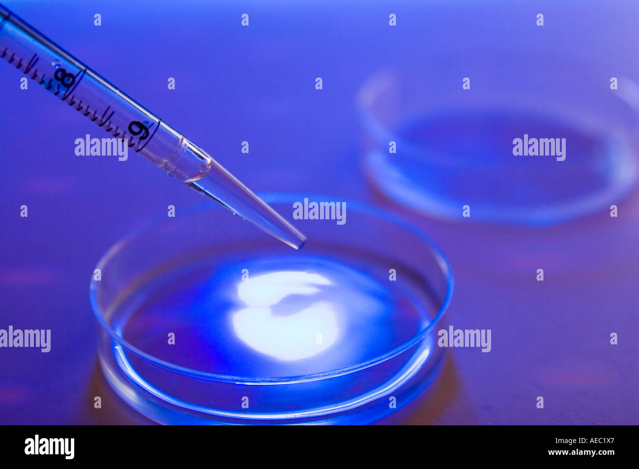 Drip Flasks High Resolution Stock Photography and Images - Alamy