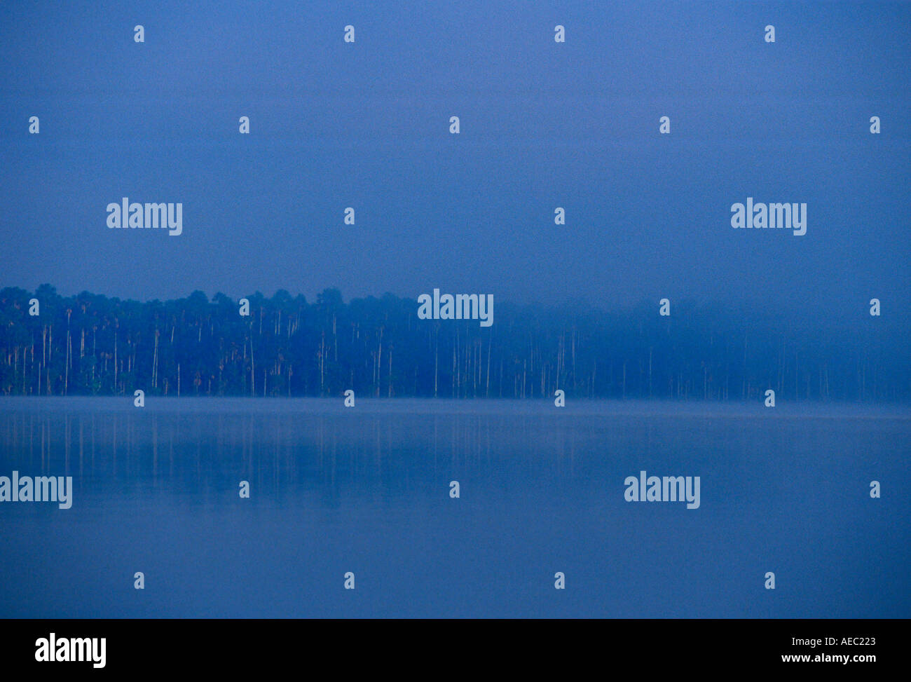 Lake Sandoval in the protected reserve zone Tambopata Peruvian ...