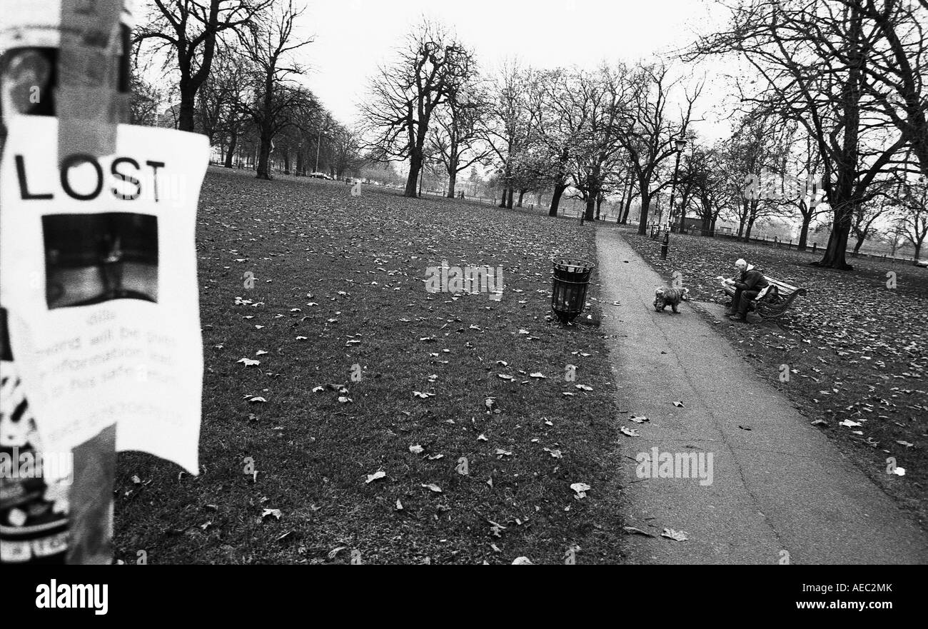 Lost on Clapham Common June 2005 Stock Photo - Alamy