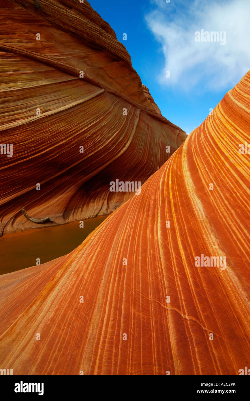 Wind eroded sandstone layers form the landscape of Coyote Buttes ...