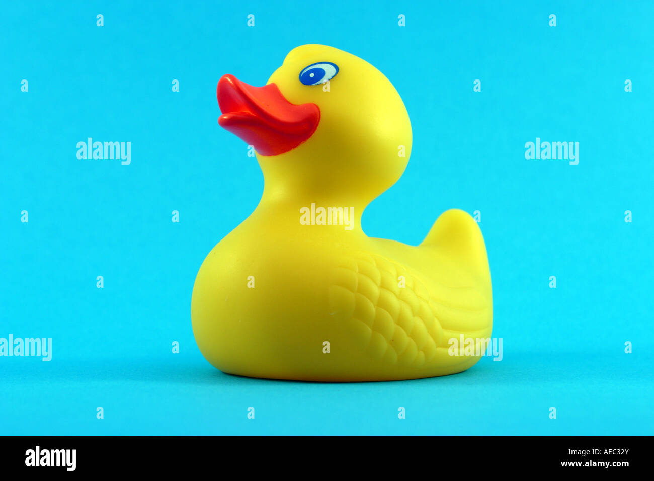rubber duck Stock Photo - Alamy rubber duck Stock Photo - Alamy