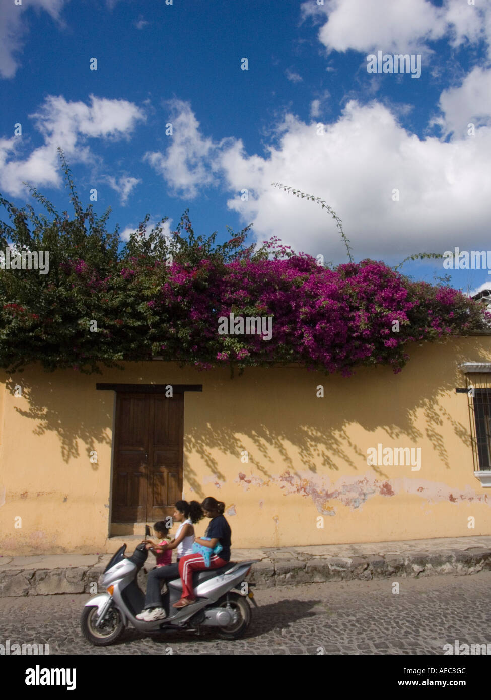 The color and the colonial architectural style seen in the city Stock ...