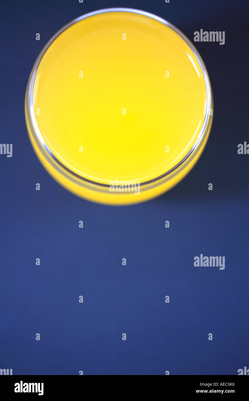 Overhead view of yellow / orange drink in glass on dark blue background ...