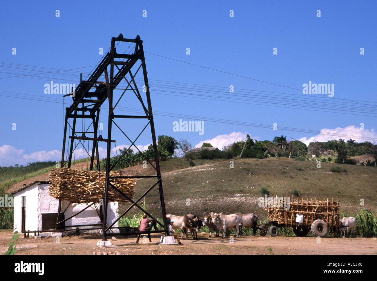 Sugar mill cuba cane hi-res stock photography and images - Alamy