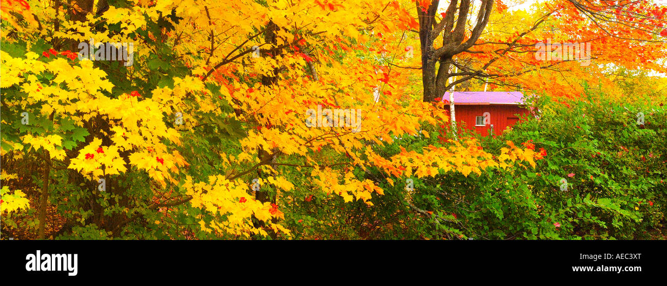 Odell Park Fredericton NB Canada Stock Photo - Alamy
