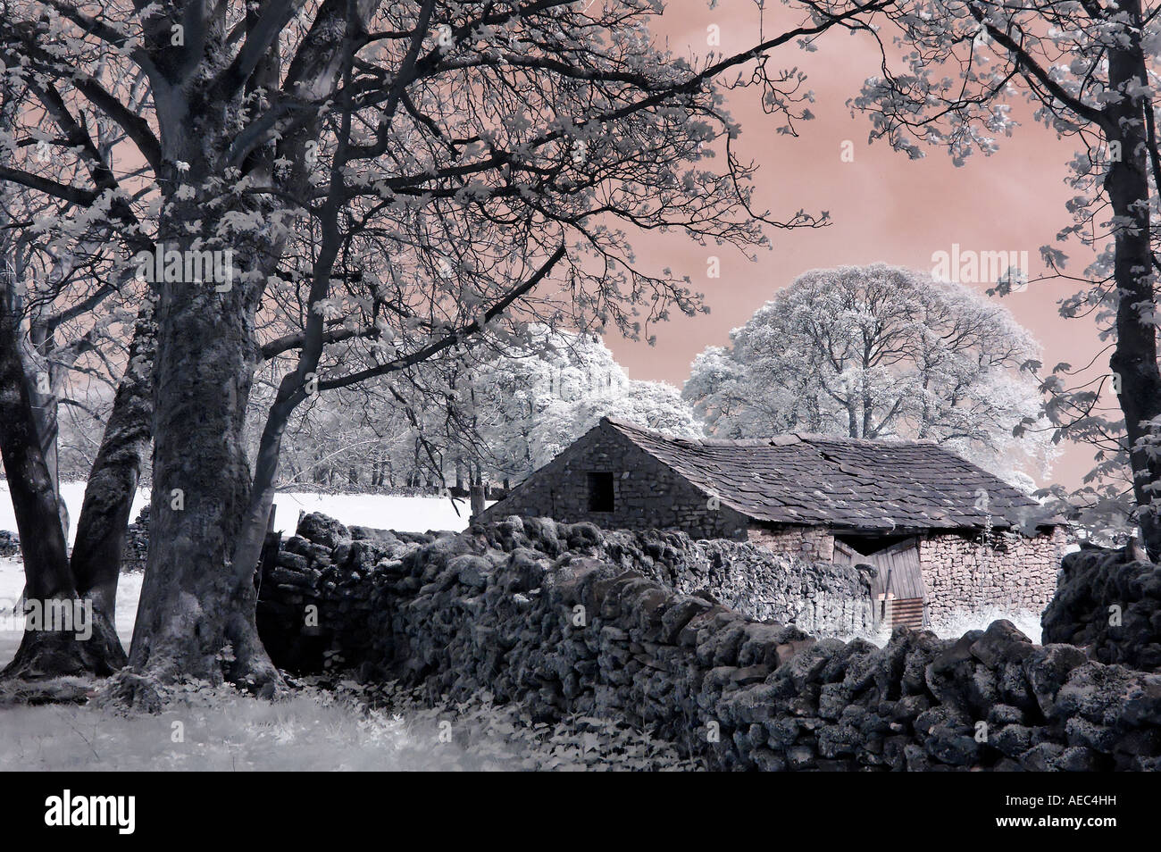 Ramshackle Barn in Wormhill, Peak District, Derbyshire UK Stock Photo ...