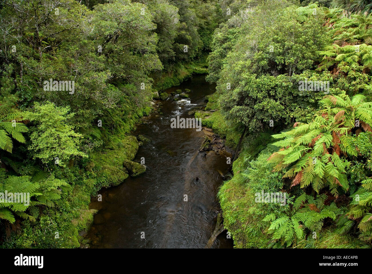 Tangarakau River Tangarakau Gorge Forgotten World Highway King Country ...