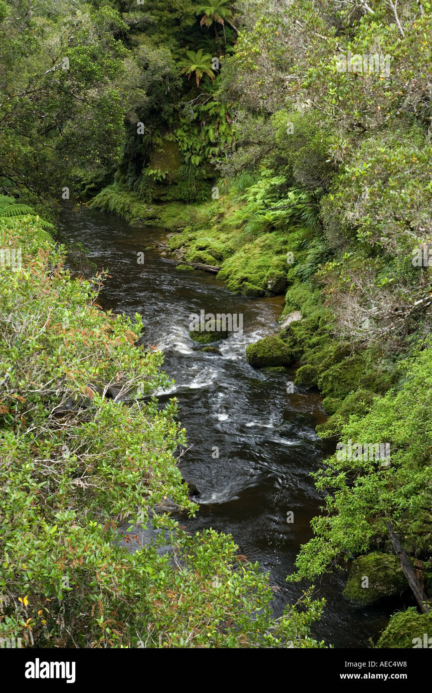 Tangarakau hi-res stock photography and images - Alamy