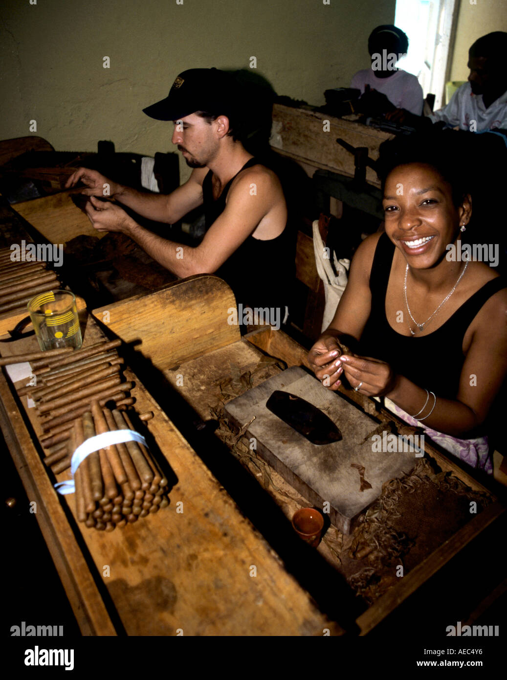 Pinar de Rio Cuba Cuban tobacco farming farm cigar cigars plantation ...