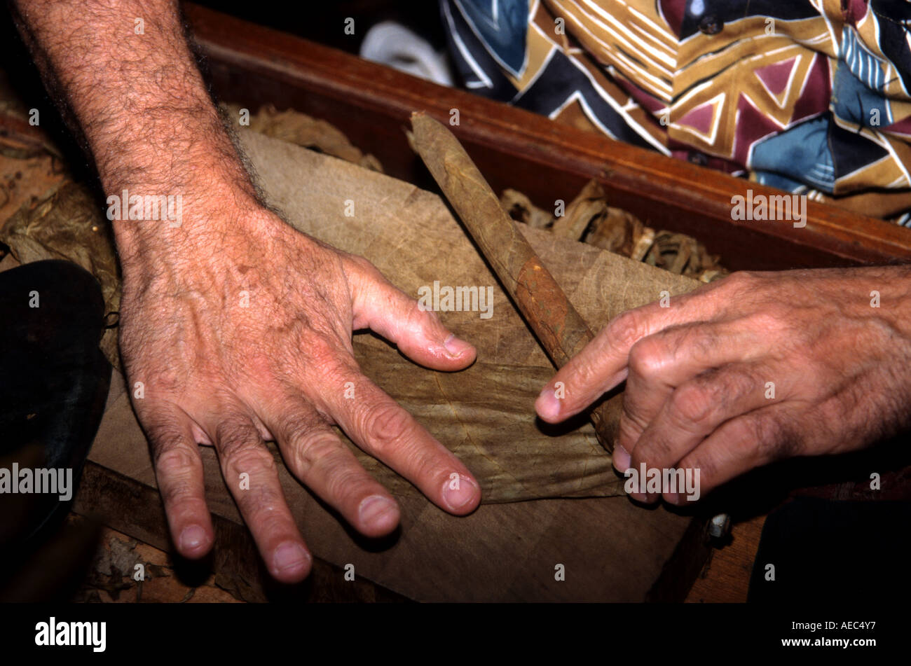 Pinar de Rio Cuba Cuban tobacco farming farm cigar cigars plantation ...