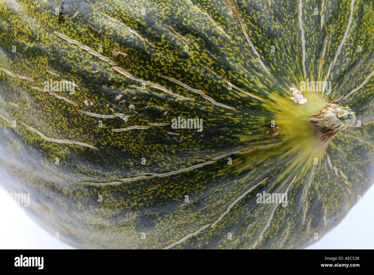 Piel De Sapo Melon Stock Photo - Alamy