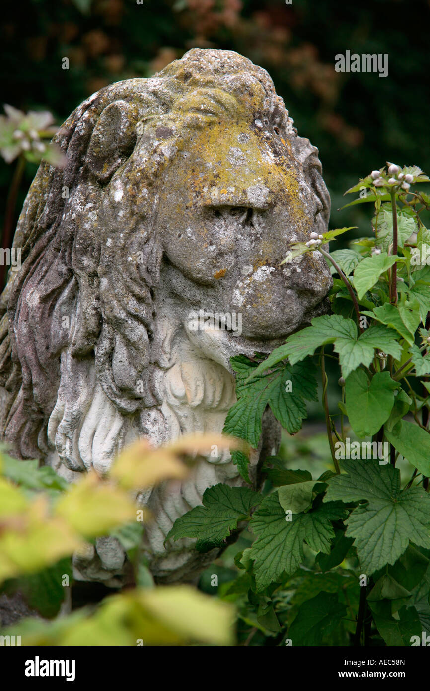 Large old weatherbeaten Stone lion in garden shrubbery Stock Photo - Alamy