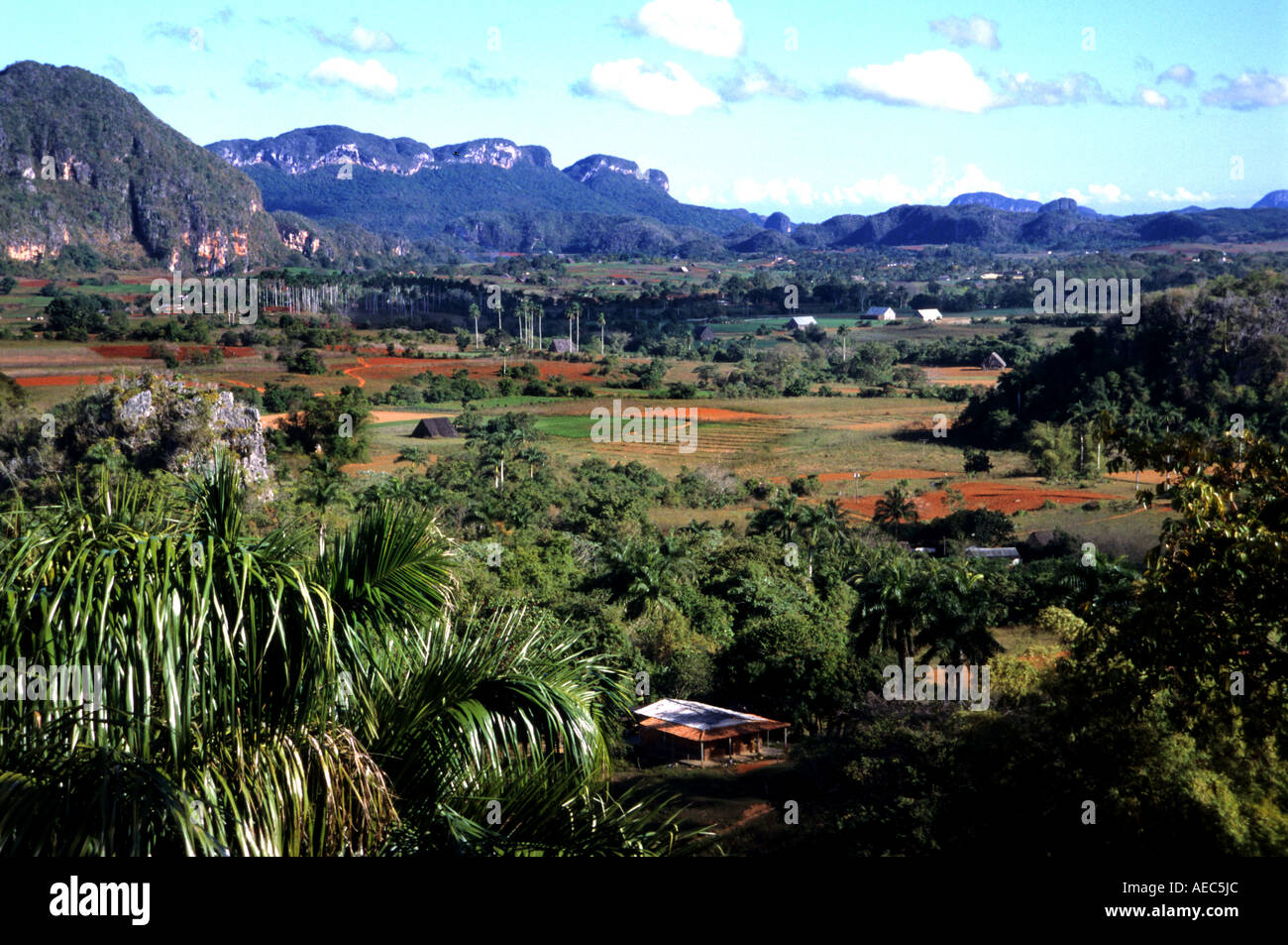 Pinar de Rio Cuba Cuban tobacco farming farm cigar cigars plantation ...