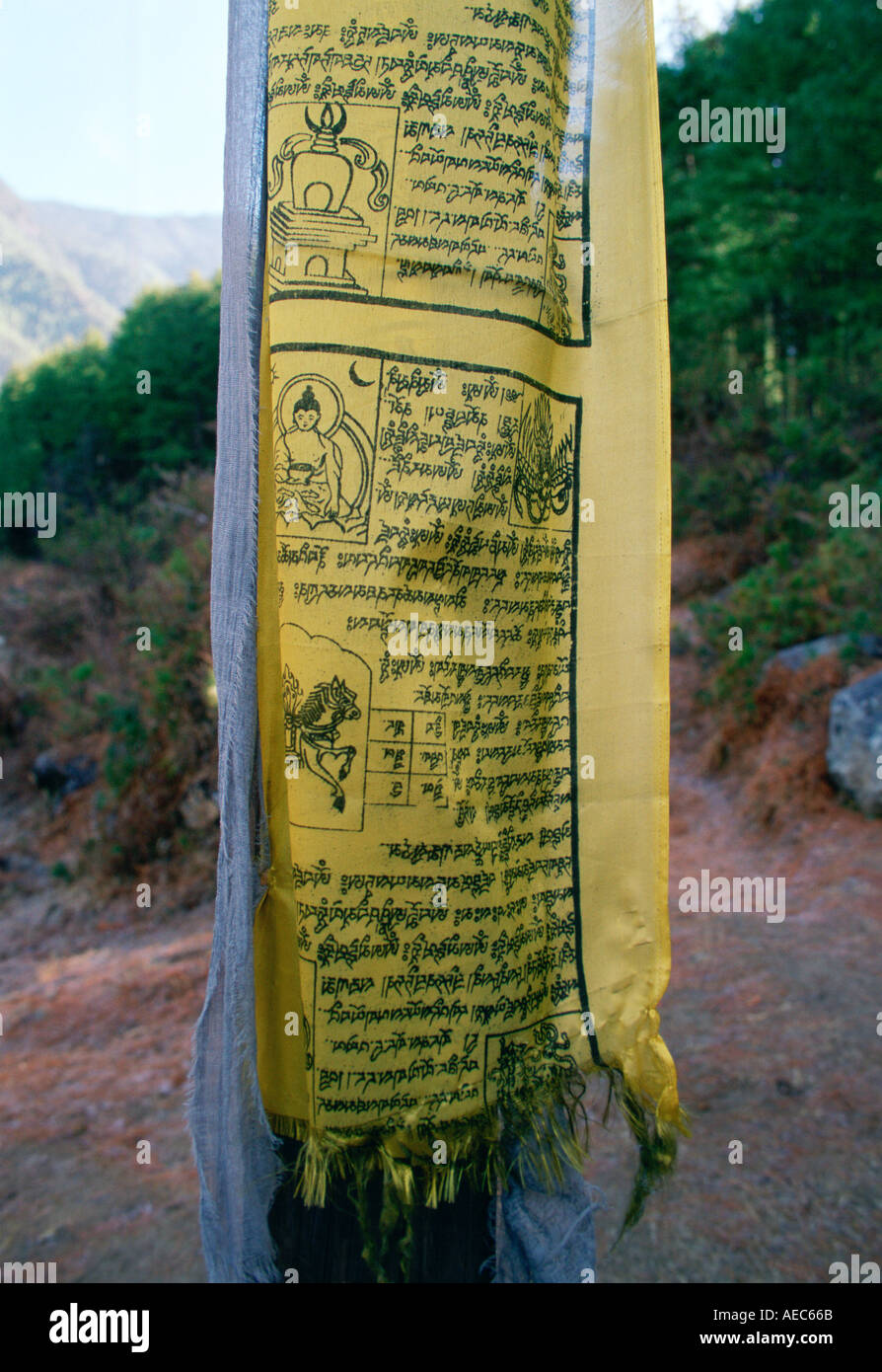 Buddhist prayer flag on mountain path to Tak Tsang Monastery Bhutan ...