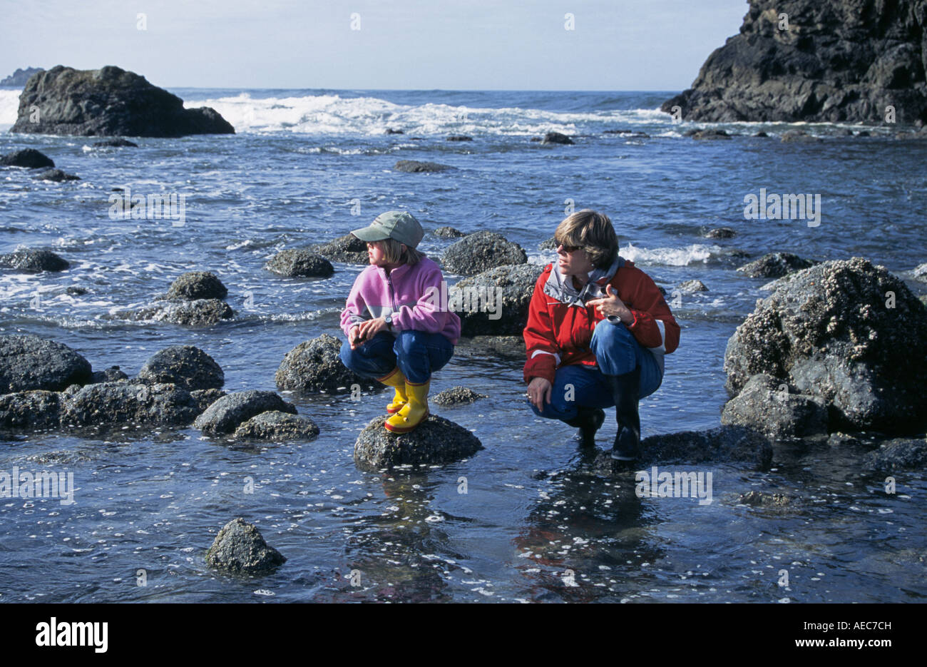 A family explores tide pools near the town of Gold Beach Oregon Stock ...