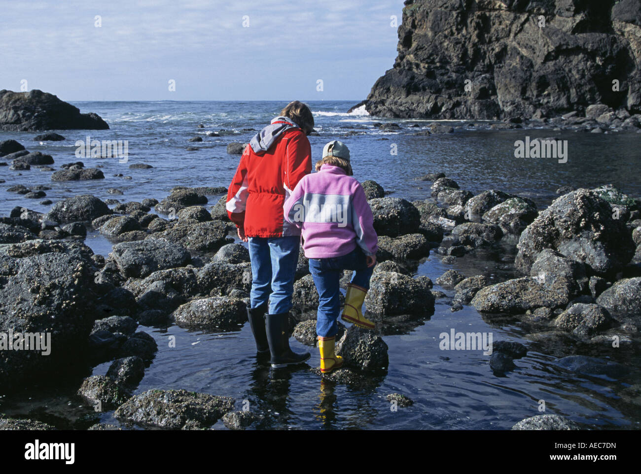 A family explores tide pools near the town of Gold Beach Oregon Stock ...