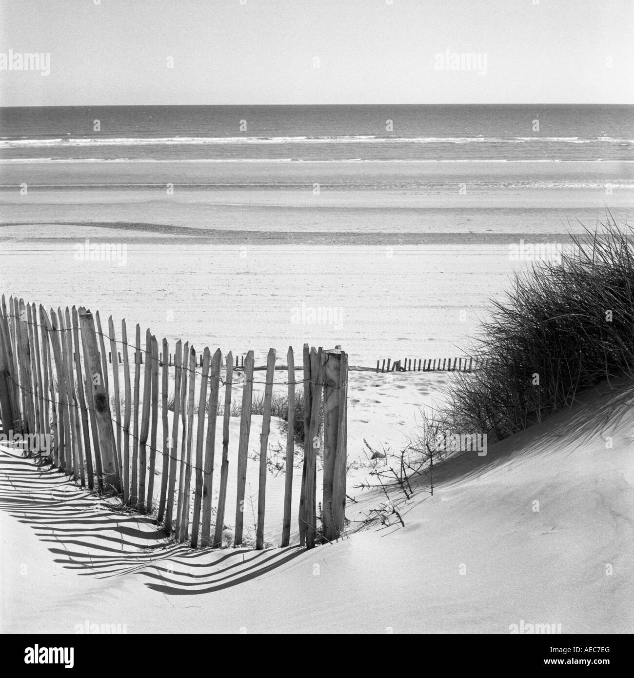 wooden post beach fence in sand dune with grass Stock Photo - Alamy