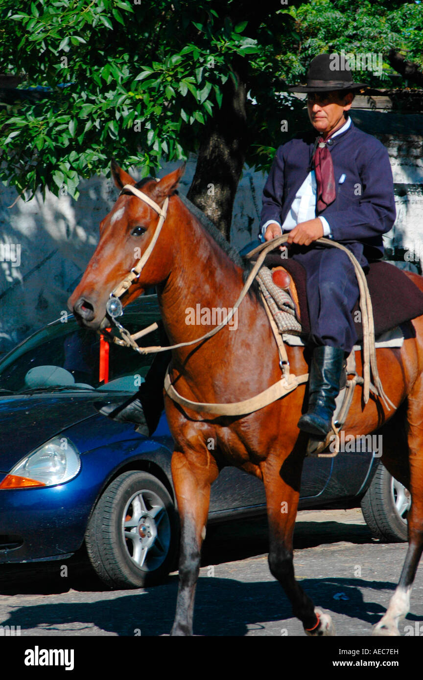 Argentinean gaucho riding a horse Stock Photo - Alamy