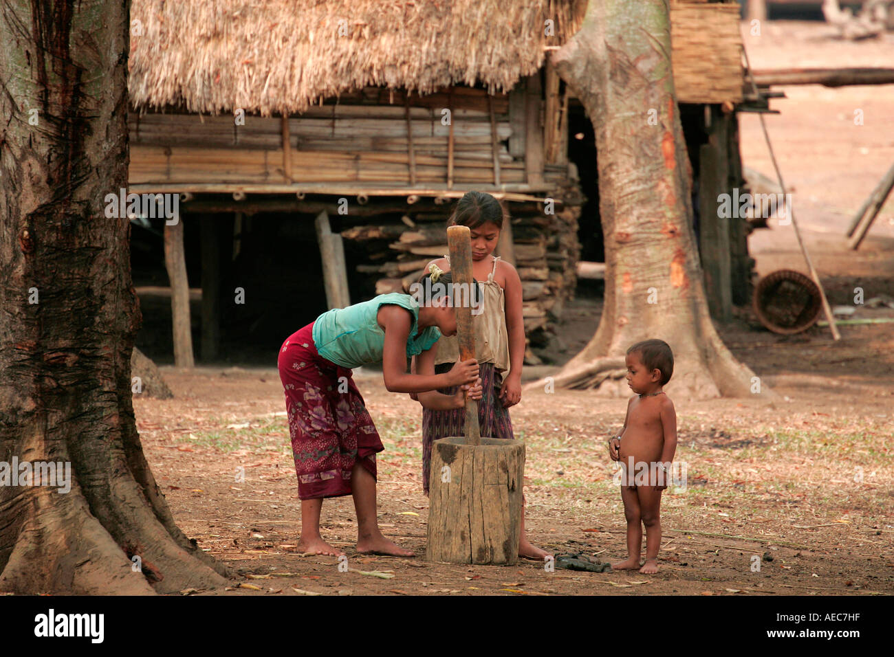 Grinding rice hi-res stock photography and images - Alamy
