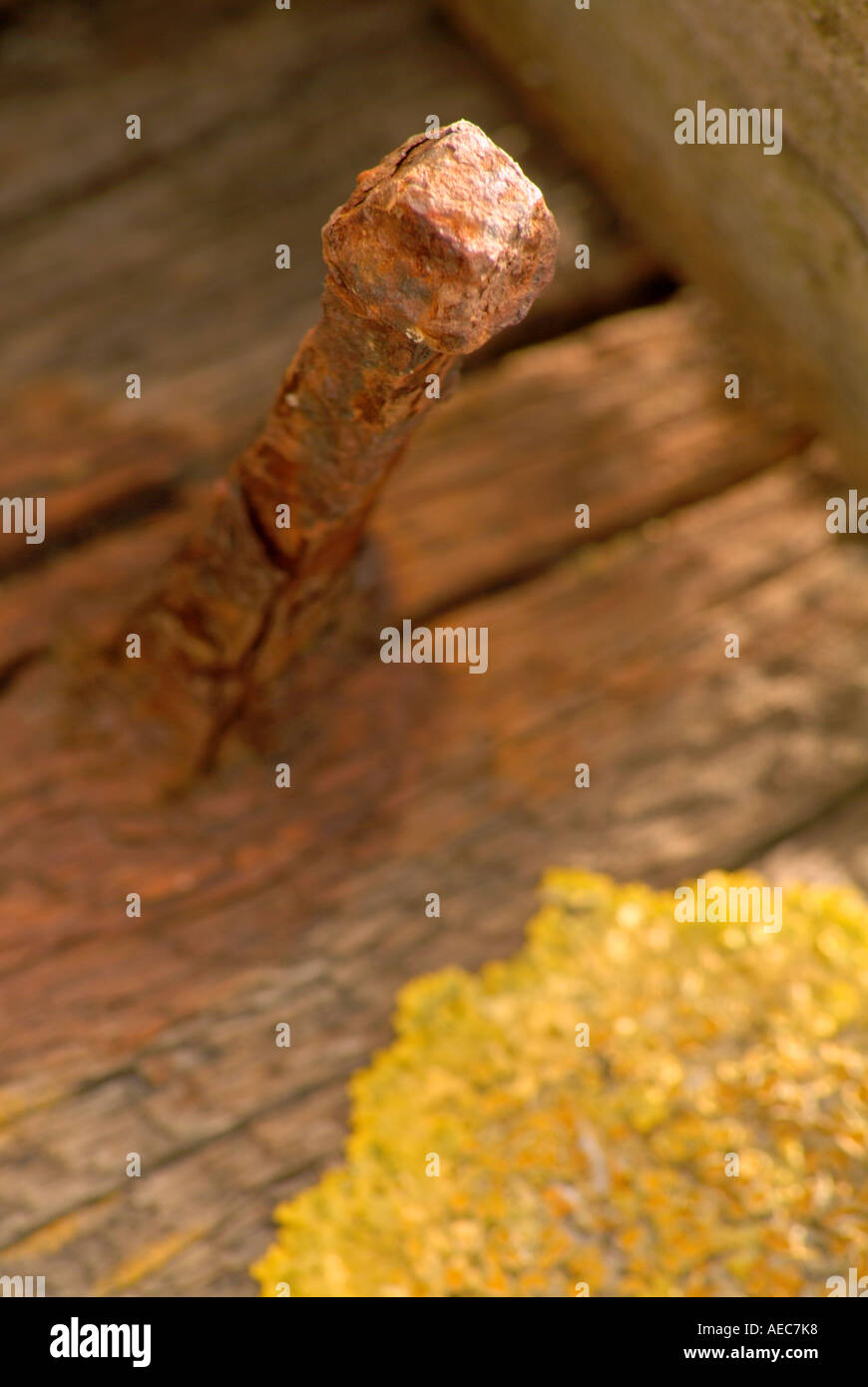Rusty nail in decayed timber Stock Photo - Alamy