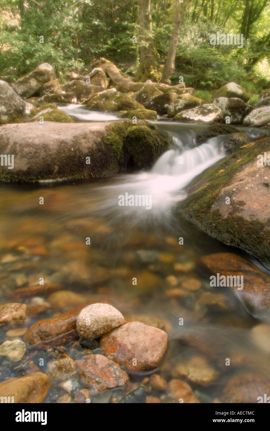 River Plym Shaugh Prior Devon UK Stock Photo - Alamy