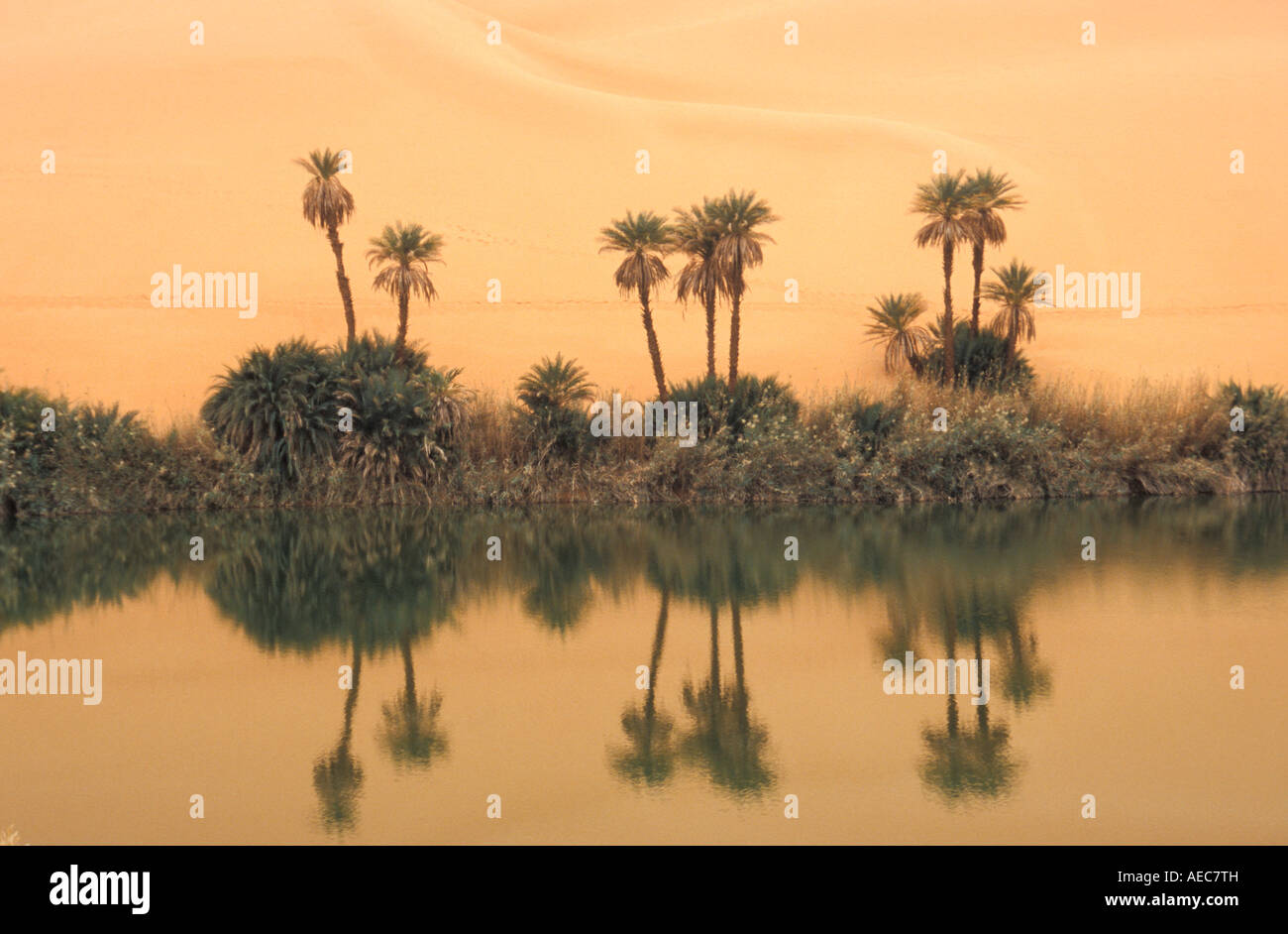 Ubari oasis hi-res stock photography and images - Alamy