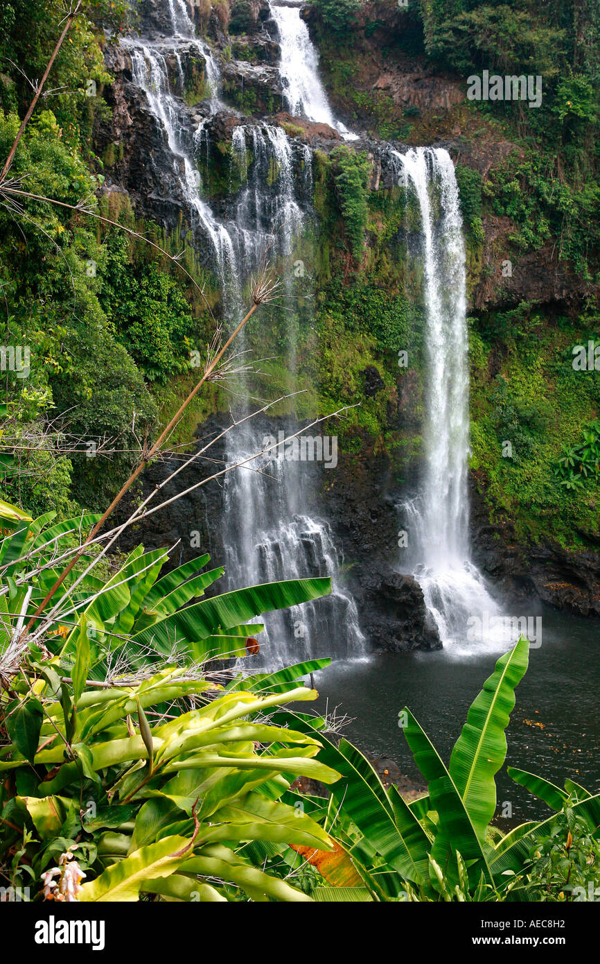Tatyeung waterfall, Bolaven Plateau, Laos Stock Photo - Alamy