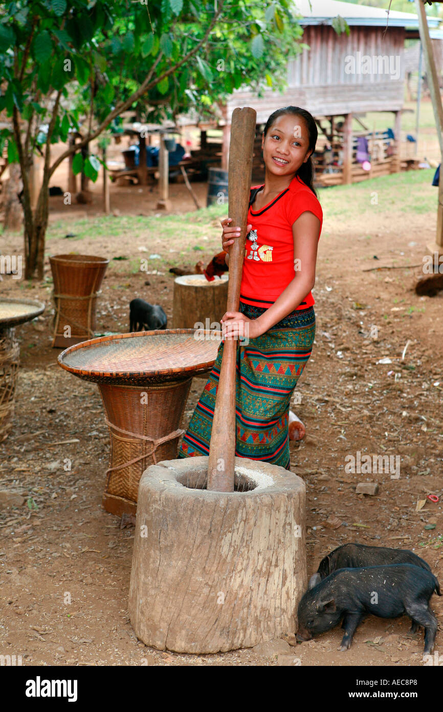 Native girl grinding rice at a minority village on the Bolaven Plateau ...